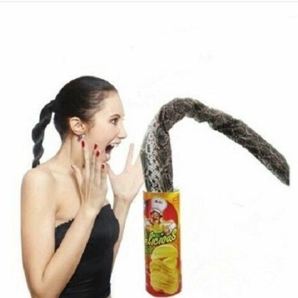 Cosplay-Party | Toys | Potato Chips Fake Snake Out Of Can Prank Toy ...